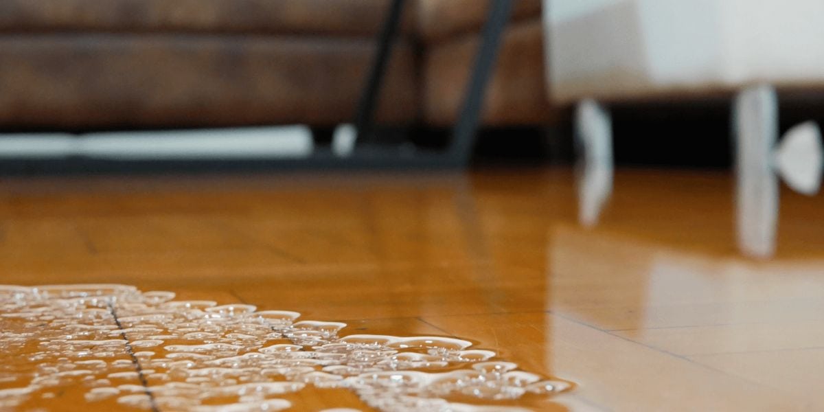 Water Removal Services | Water Extraction Services | Southern Wisconsin